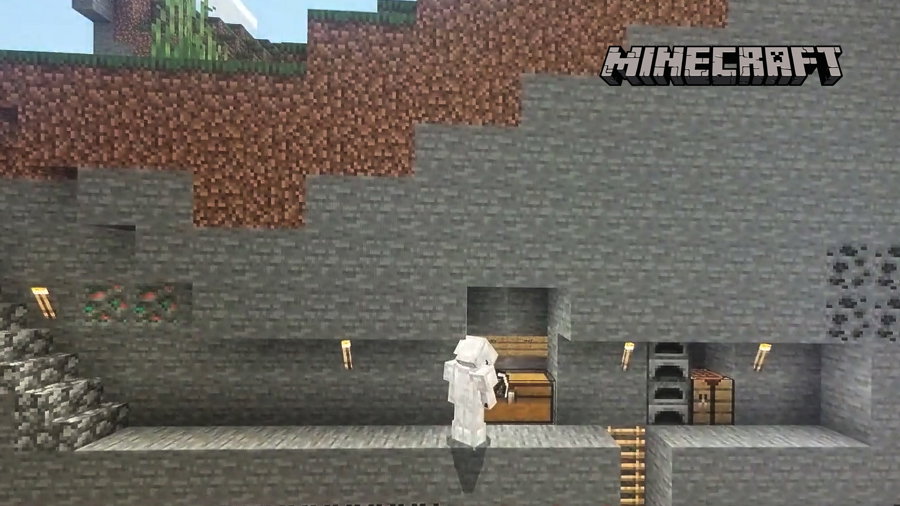 Minecraft w wersji 2D? Ten gracz widzi tylko taką możliwość rozgrywki ...