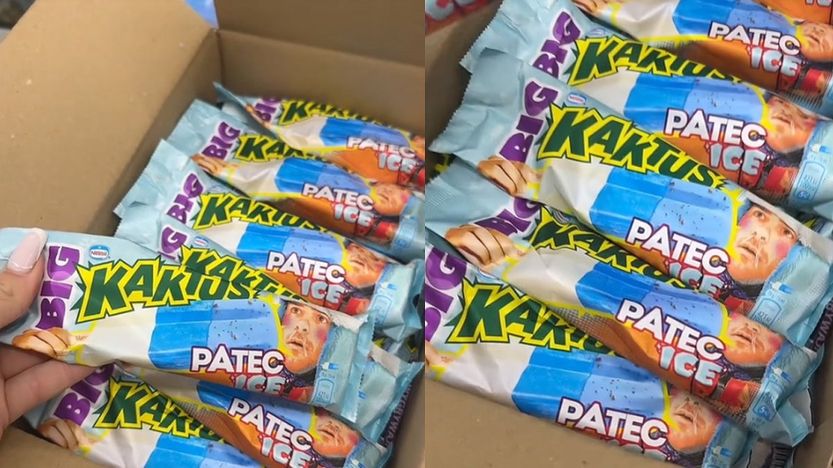 Lody Kaktus Patec. Cena, gdzie, w jakim sklepie - BOOP.PL