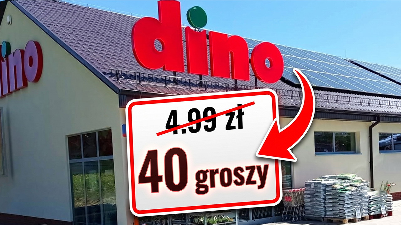 Taniej, niż woda. Dino wyprzedaje piwo po 40 groszy za butelkę - BOOP.PL